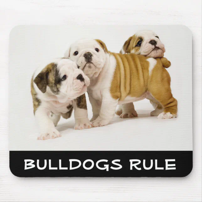 Cute Bulldogs Rule Puppy Dogs Playing Mousepad | Zazzle