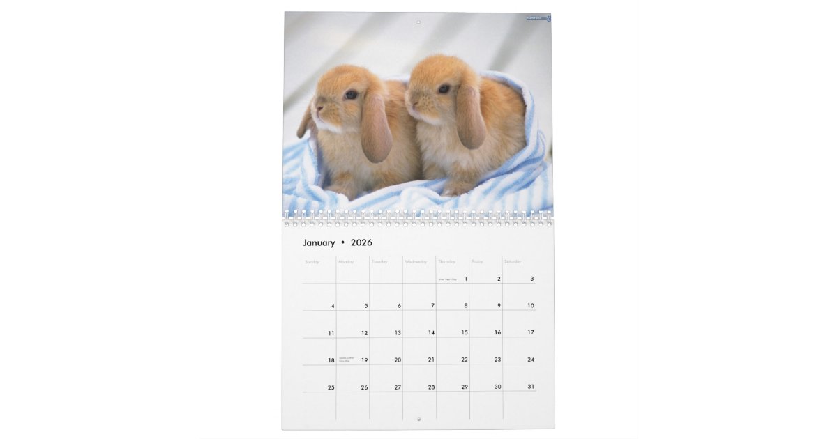 Cute Bunnies Calendar | Zazzle