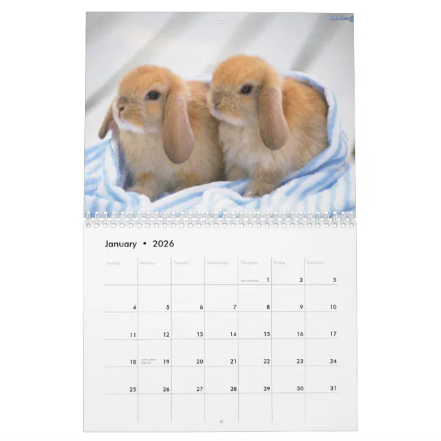 Cute Bunnies Calendar | Zazzle