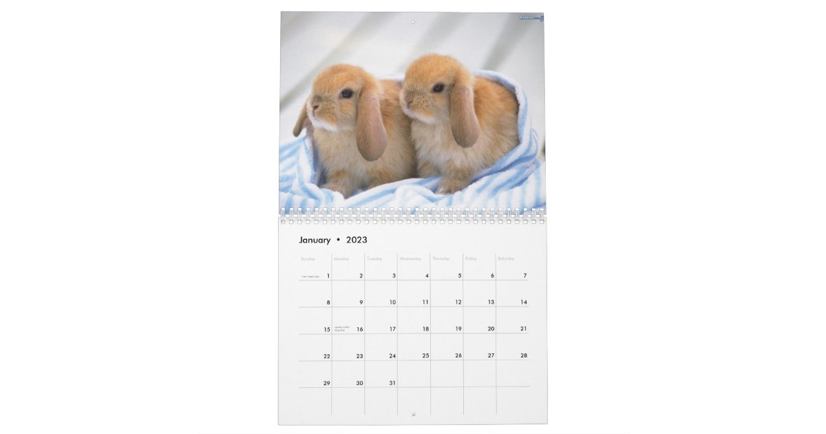Cute Bunnies Calendar | Zazzle