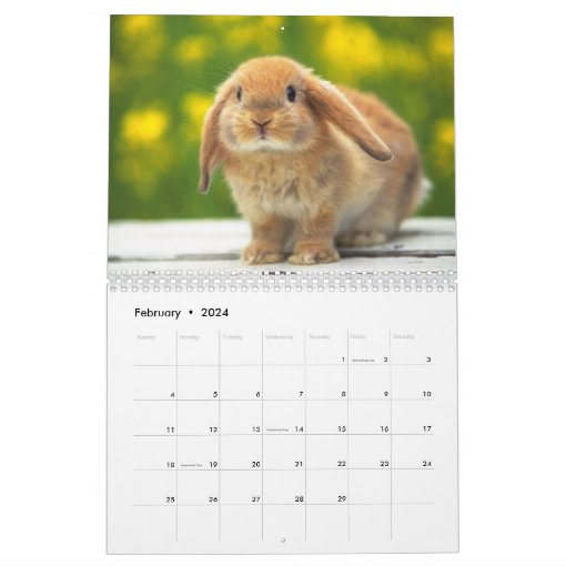 Cute Bunnies Calendar | Zazzle