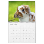 Cute Bunnies Calendar | Zazzle