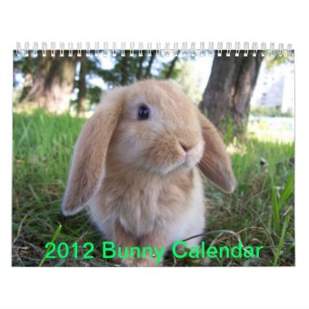 Cute Bunnies Calendar | Zazzle