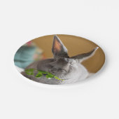 Cute Bunny Rabbit Eating Salad Paper Plates | Zazzle