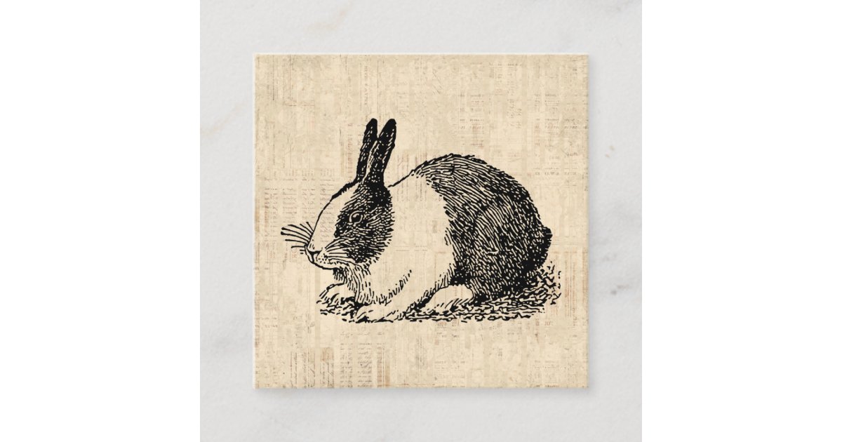Cute Bunny Rabbit Vintage Animal Art Illustration Enclosure Card | Zazzle