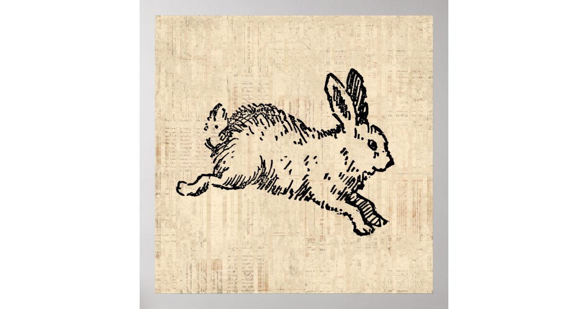 Cute Bunny Rabbit Vintage Illustration Script Art Poster | Zazzle