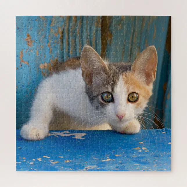 Cute Calico Cat Kitten Funny Curious Eyes Photo -- Jigsaw Puzzle | Zazzle