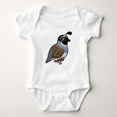 Cute California Quail by Birdorable