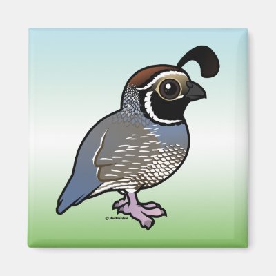 Meet the Cute & Charming California Quail | Birdorable Birds