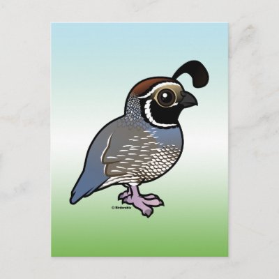 Meet the Cute & Charming California Quail | Birdorable Birds