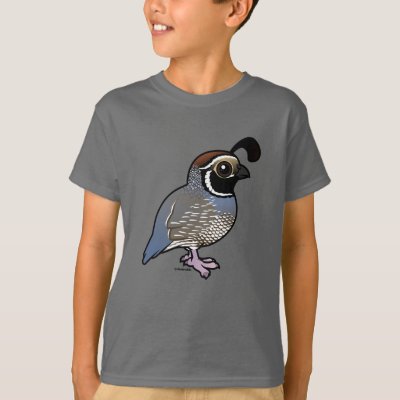 Meet the Cute & Charming California Quail | Birdorable Birds