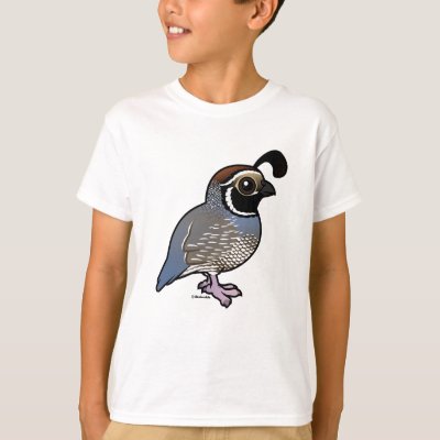 Meet the Cute & Charming California Quail | Birdorable Birds