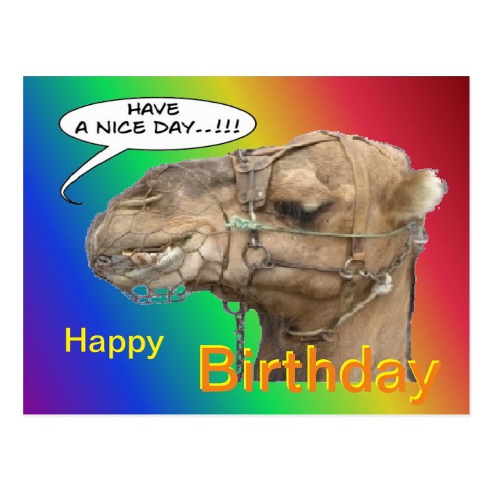 Cute Camel Rainbow Happy Birthday Postcard | Zazzle.com
