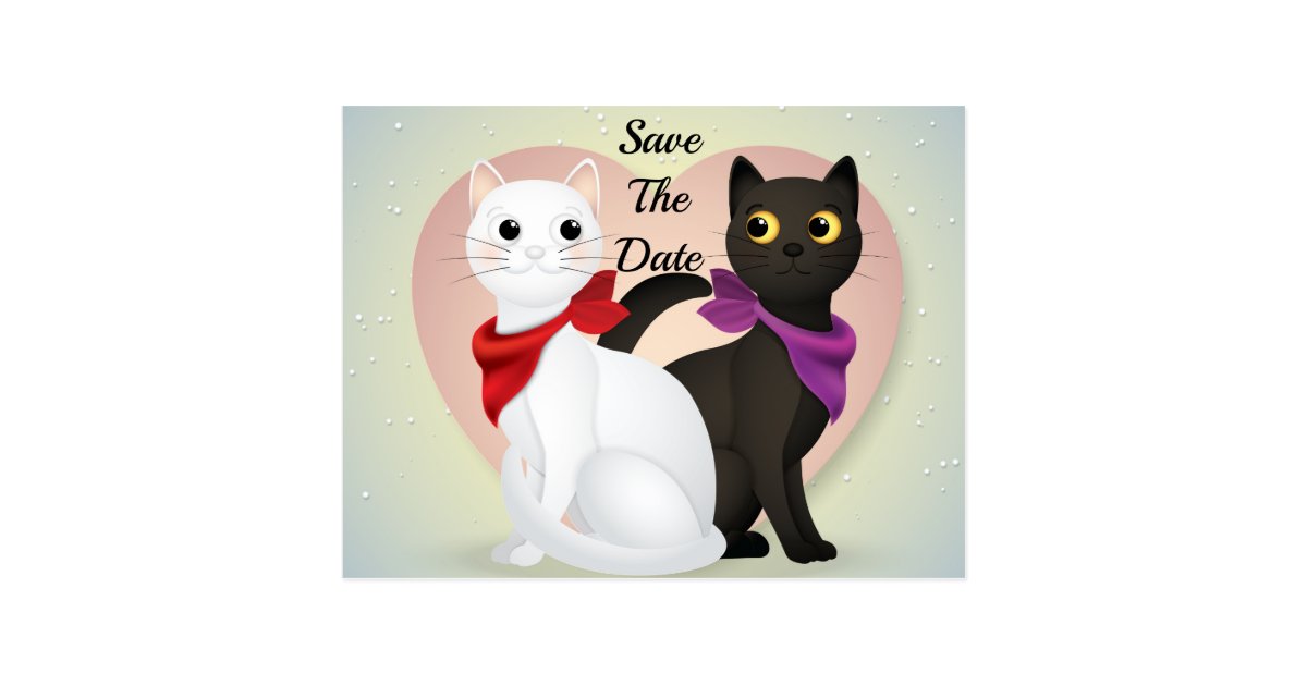Cute Cartoon Cat Couple Postcard | Zazzle.com
