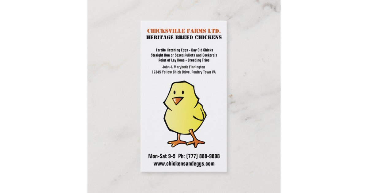 Cute Cartoon Chick Chicken Hatchery Business Card | Zazzle