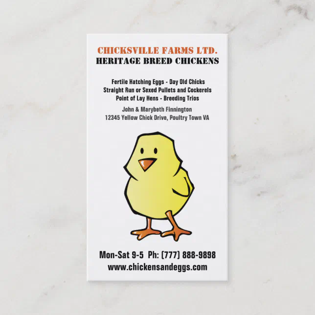 Cute Cartoon Chick Chicken Hatchery Business Card | Zazzle