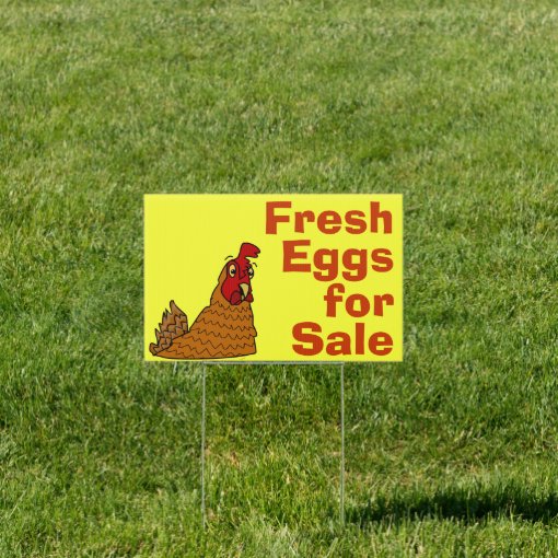 Cute Cartoon Chicken Fresh Eggs for Sale Custom Sign | Zazzle