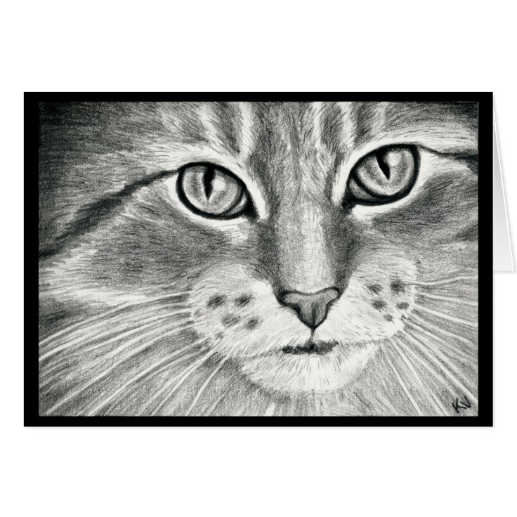 Cute cat art realism pencil drawing | Zazzle