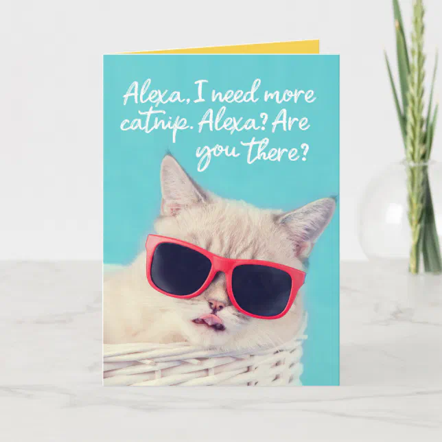 Cute Cat Asking Alexa For Catnip Birthday Card | Zazzle