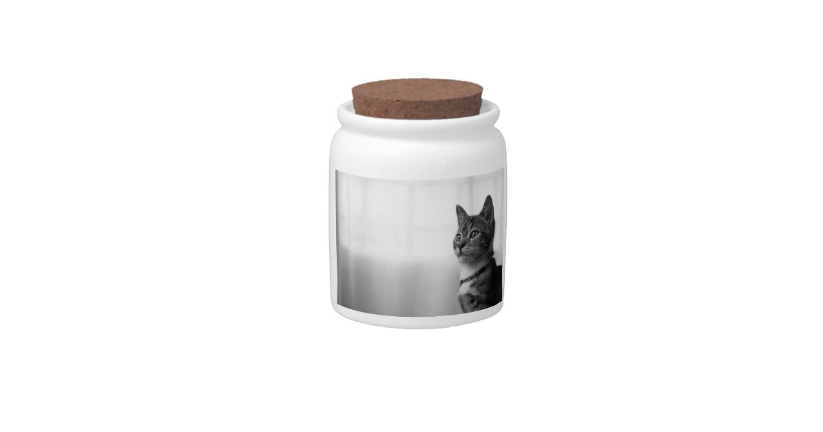 Cute Cat Candy Jar | Zazzle