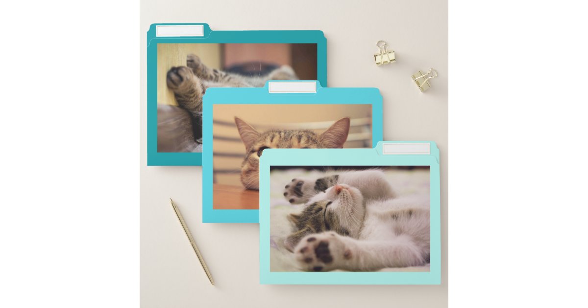 Cute Cat File Folder | Zazzle