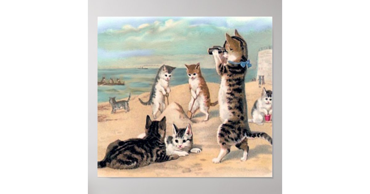 Cute Cat Fun at the Beach Poster | Zazzle