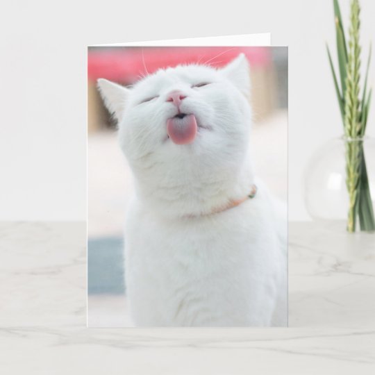 Cute Cat Greeting Card | Zazzle.com