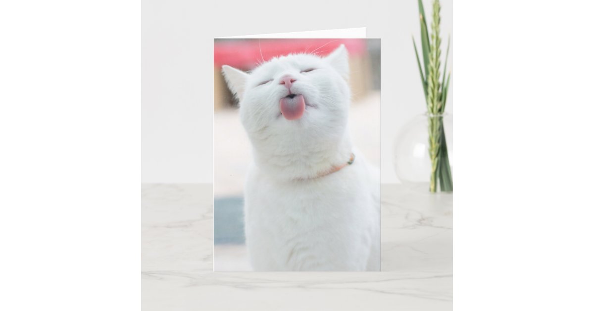 Cute Cat Greeting Card | Zazzle