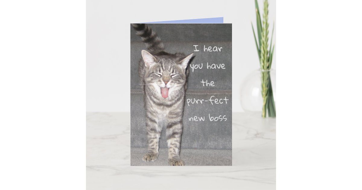 Cute Cat Happy Retirement Card | Zazzle