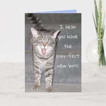 Cute Cat Happy Retirement Card | Zazzle
