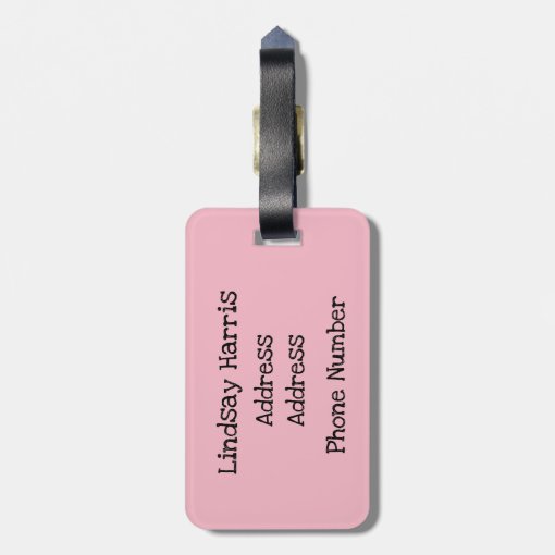 Cute Cat in A Box Luggage Tag | Zazzle