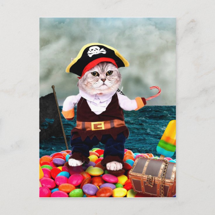 Cute cat in a pirate costume postcard | Zazzle