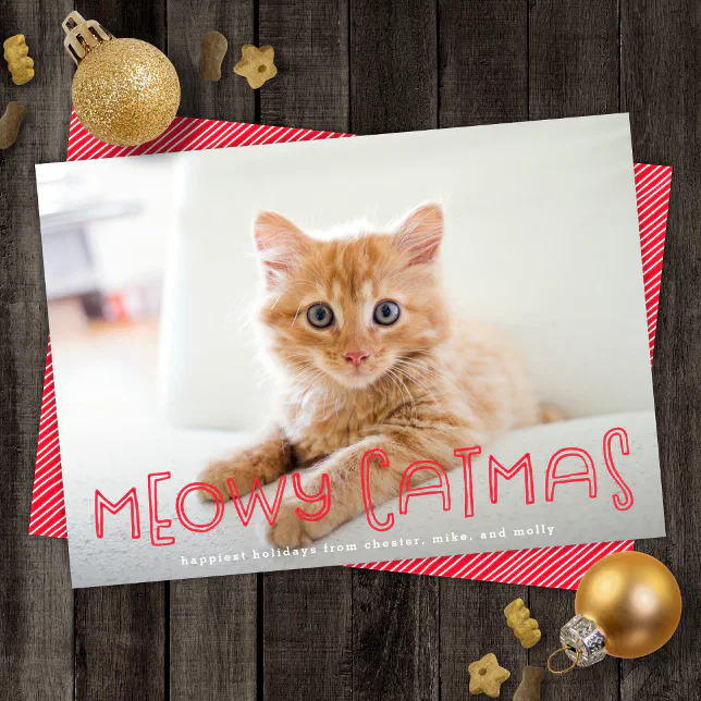 Cute Cat Meowy Catmas Modern Christmas One Photo Holiday Card | Zazzle
