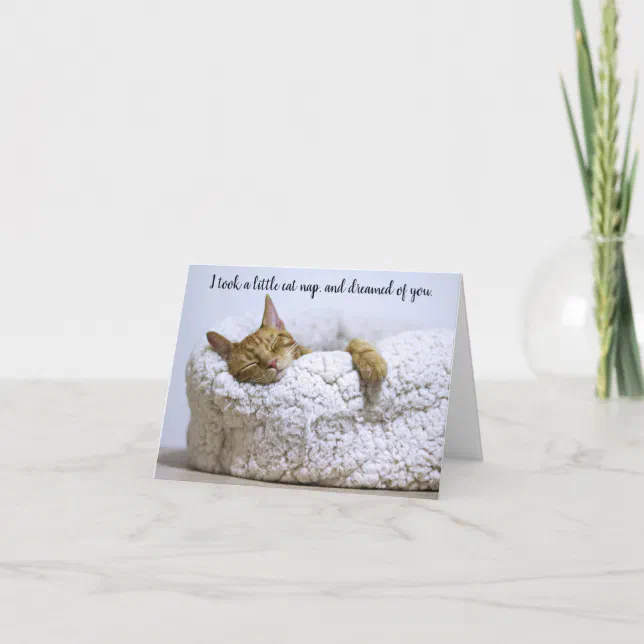 Cute Cat Nap Meow More Than Ever Thinking of You Card | Zazzle