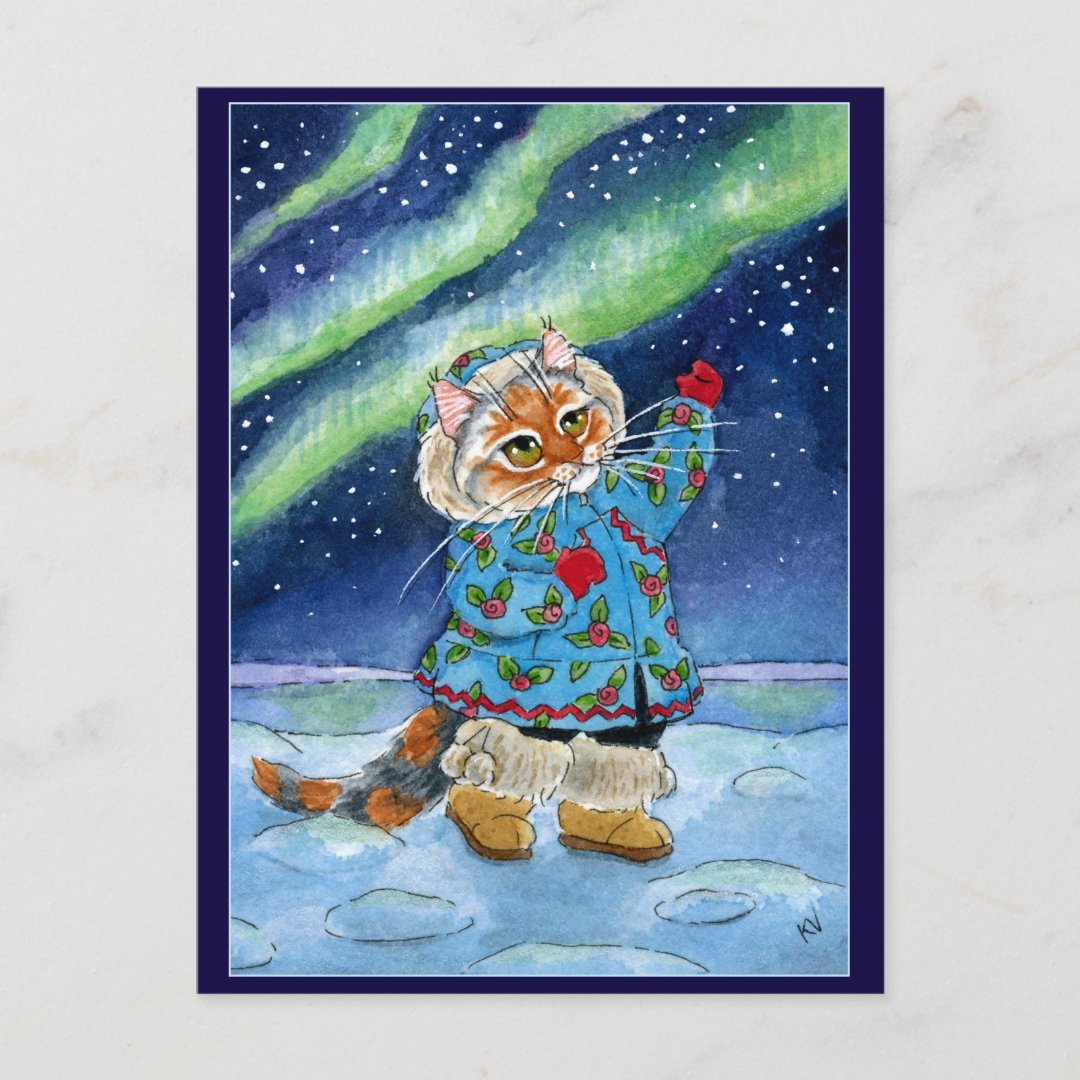 Cute cat, northern lights postcard | Zazzle