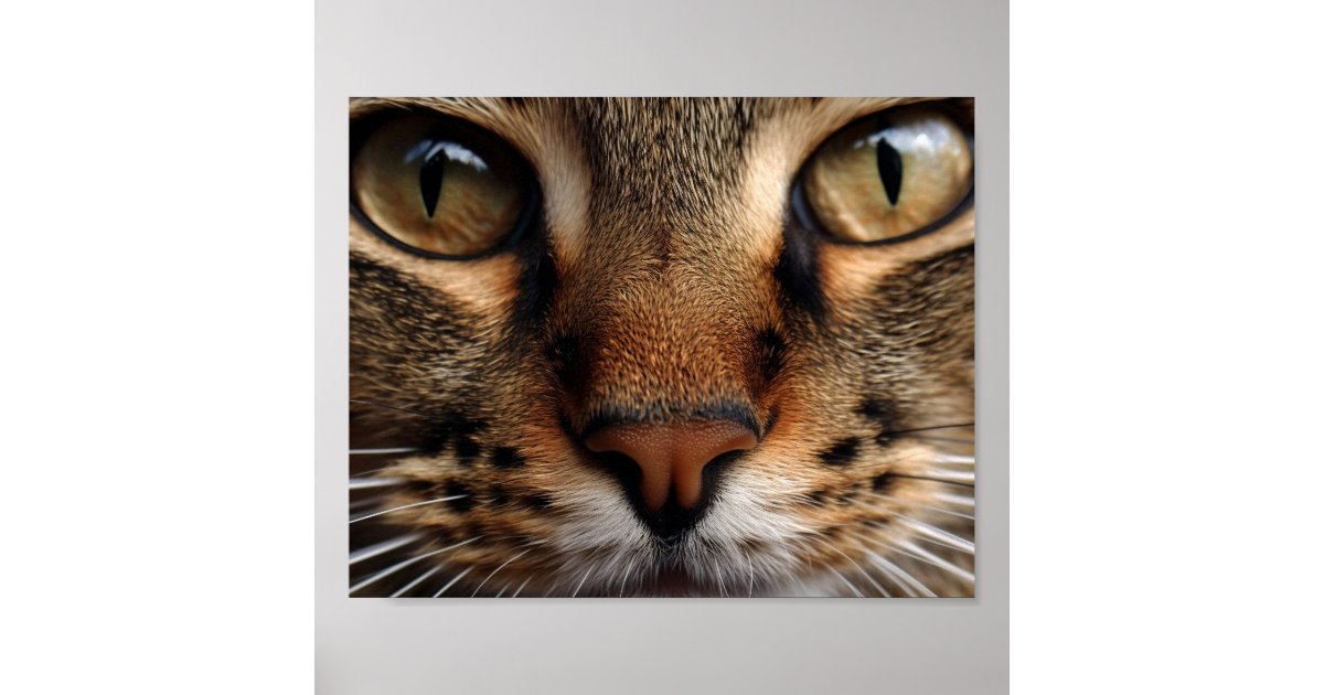 Cute cat nose and eye front closeup. Pet animal Poster | Zazzle