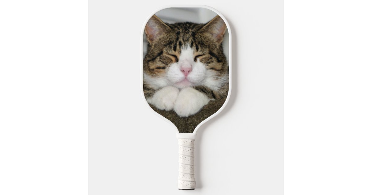 Cute Cat Pickleball Paddle | Zazzle