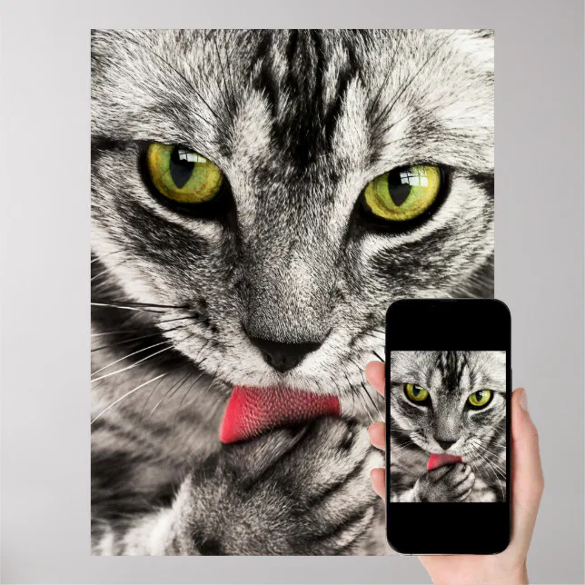Cute Cat Portrait Poster | Zazzle