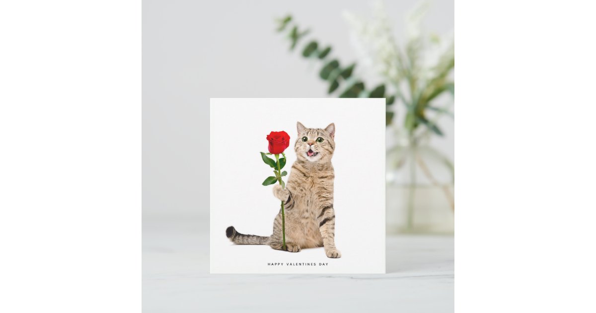 Cute Cat Valentines Day Card | Zazzle