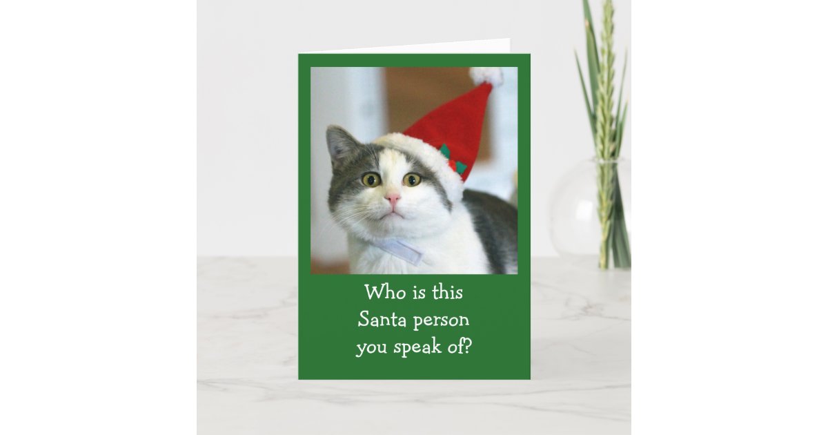 Cute Cat Wearing Santa Hat Holiday Card | Zazzle