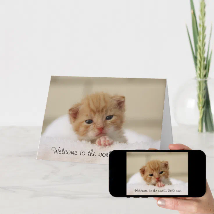 Cute Cat Welcome to the world baby greeting card | Zazzle