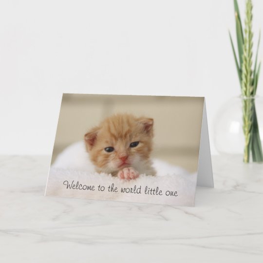 Cute Cat Welcome to the world baby greeting card | Zazzle.com