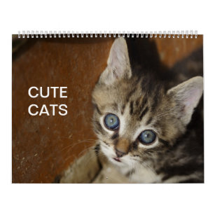 Funny Cat Calendars | Zazzle