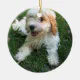 CUTE CAVAPOO PUPPY CERAMIC ORNAMENT | Zazzle