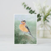 Cute Chaffinch, Watercolor Bird Collection Postcard | Zazzle