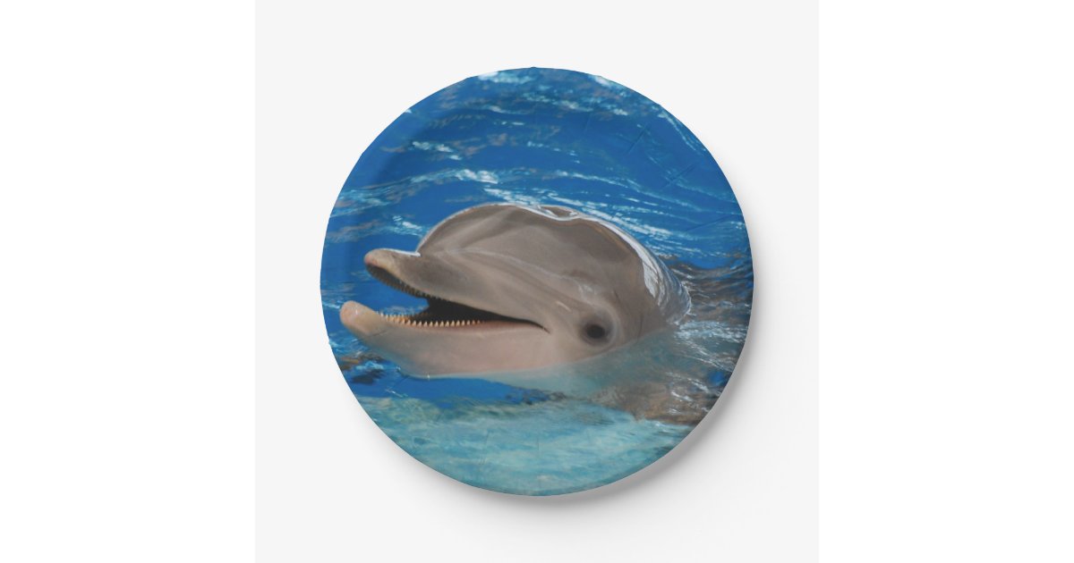 Cute Chattering Dolphin Paper Plates | Zazzle