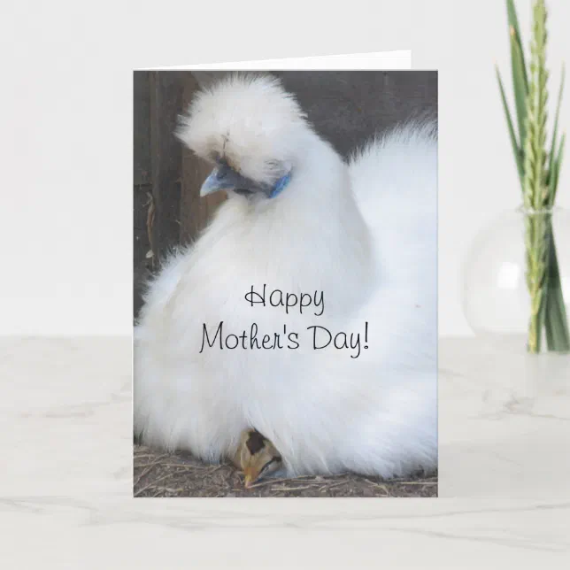Cute chick/ chicken Mother's Day card | Zazzle