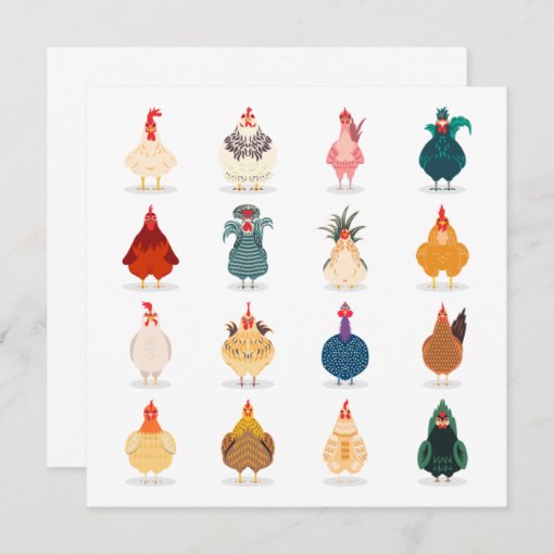 Cute Chicken Card | Zazzle