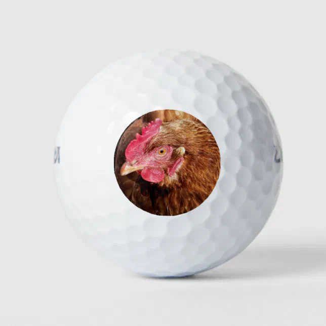 CUTE CHICKEN GOLF BALLS | Zazzle