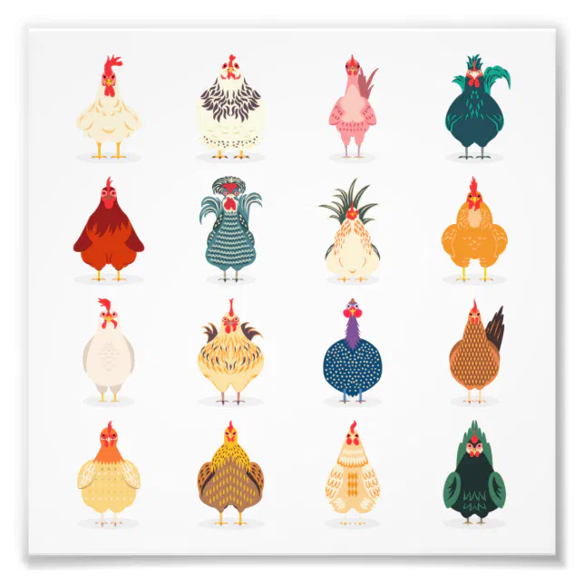 Cute Chicken Photo Print | Zazzle